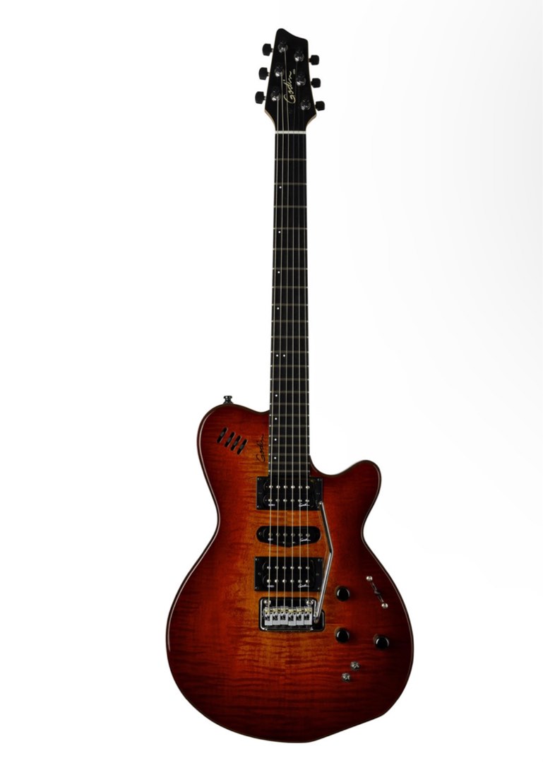 Godin GK 13 pins connector guitar with case, Hobbies & Toys, Music ...