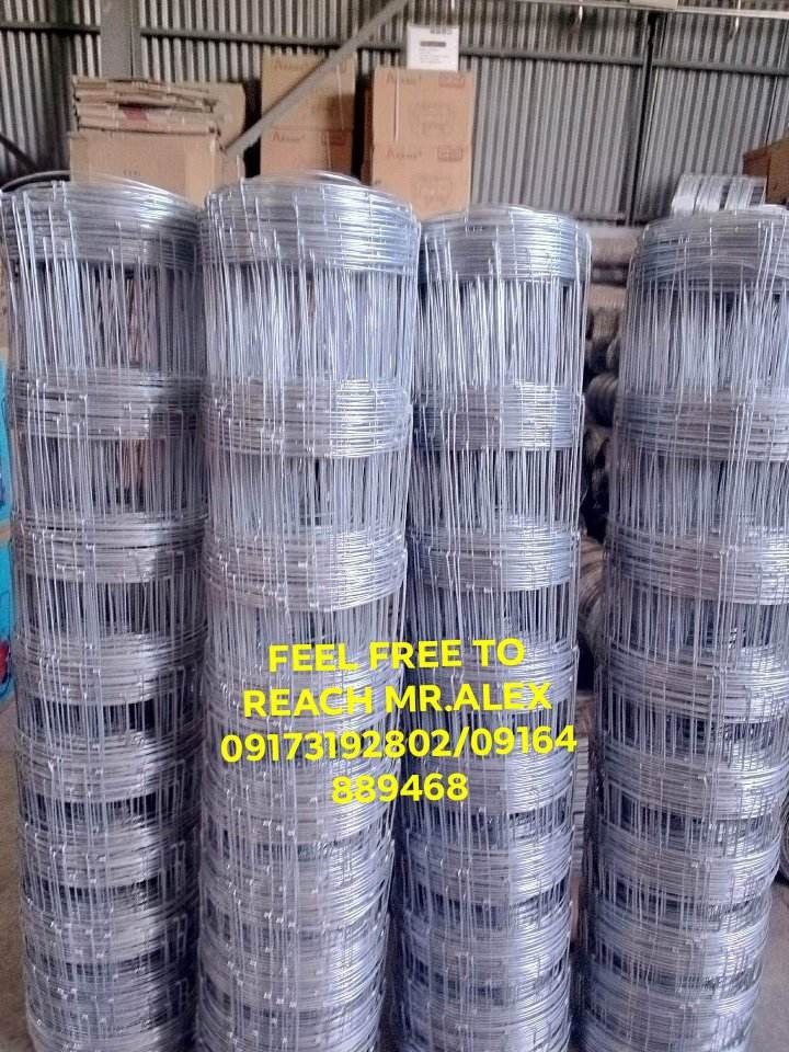 Hot dipped Galvanized Hog wire (Specs: 4ft height x 100meters/roll ...