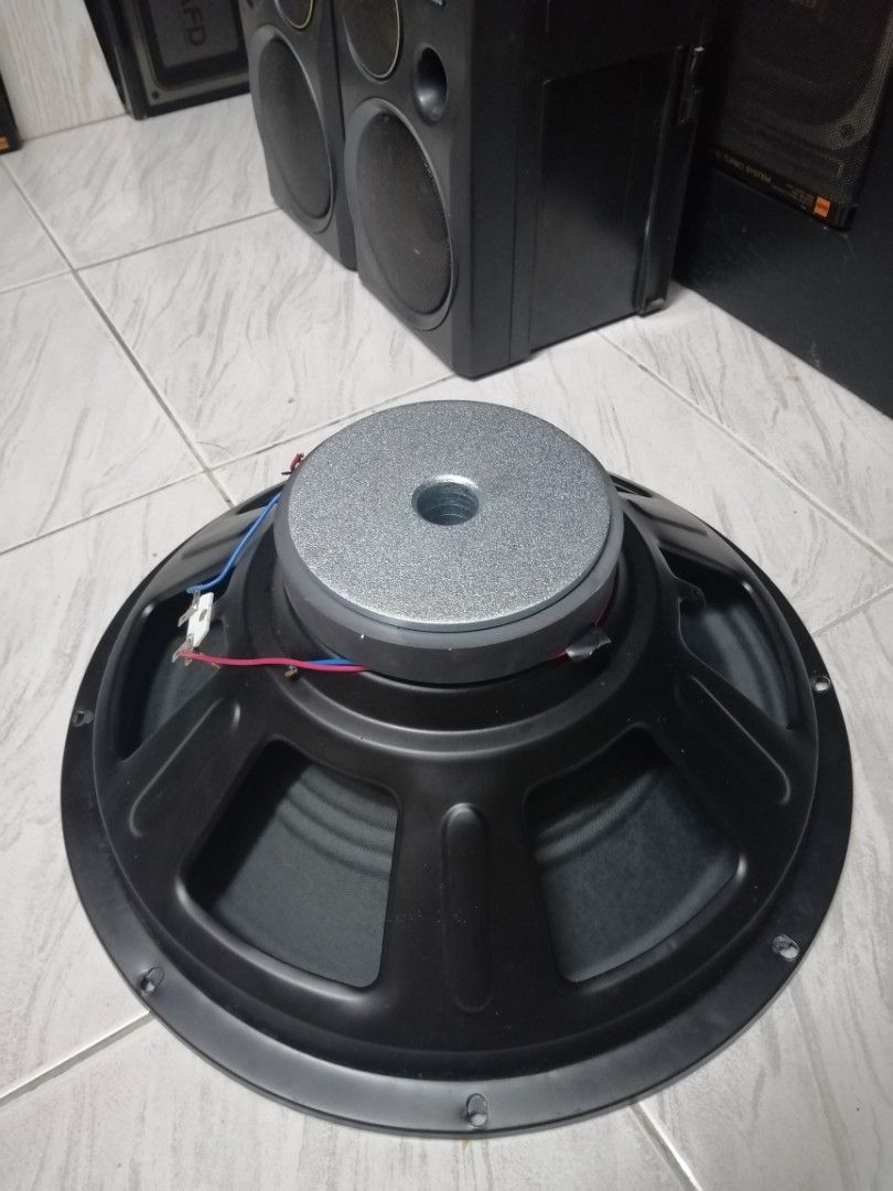 LOUDSPEAKER DENN 300W/8 OHM 15 INCI, Audio, Soundbars, Speakers ...