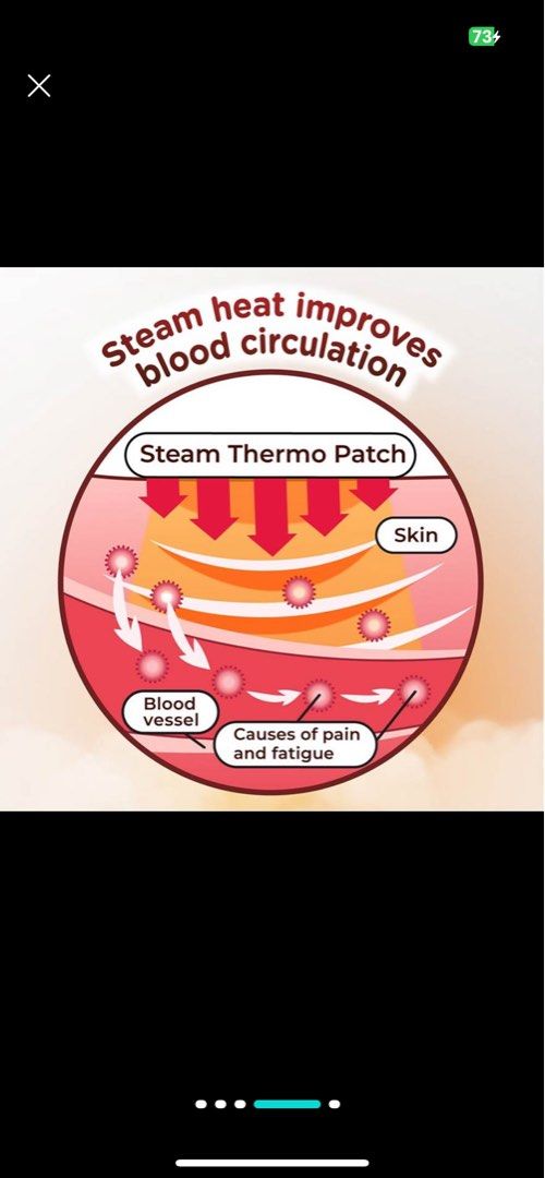 Megrhythm Non-Medicated Steam Heat Relief Thermo Patch Shoulder & Back ...