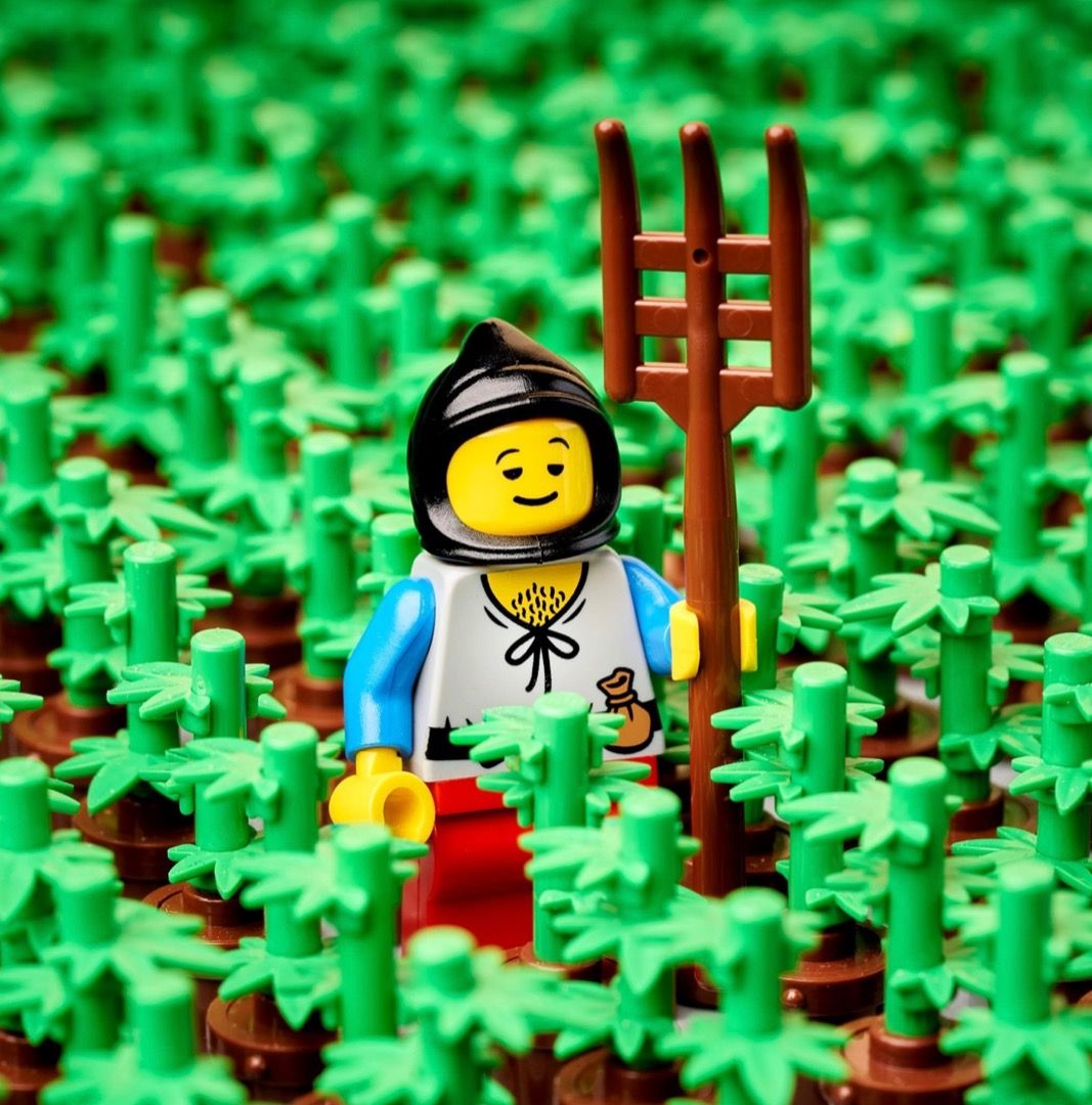 *NEW* lego Citizen Brick - classic castle weed framer - Pleasant ...