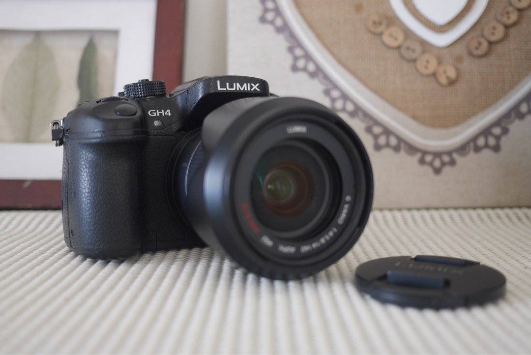 Panasonic Lumix GH4 with Lumix 14-140mm lens, Photography, Cameras on ...