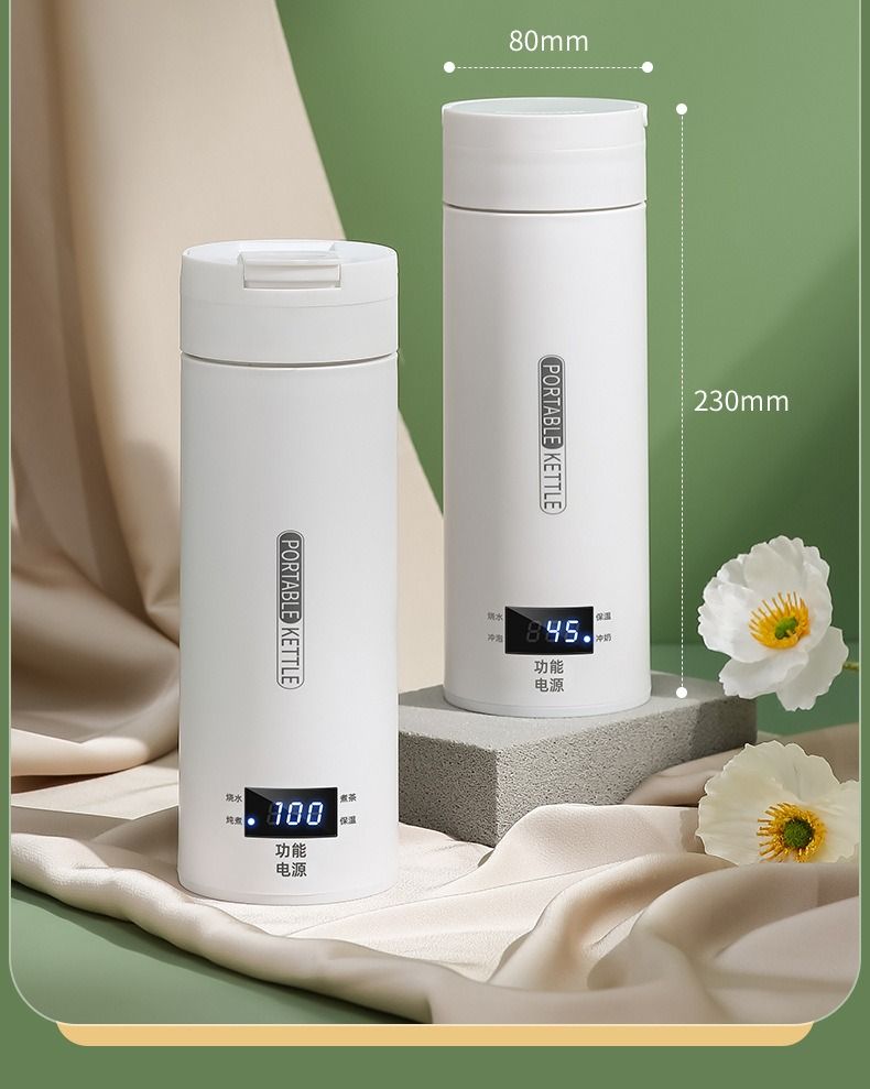 SG Plug Travel bottle Kettle Electric Small Stainless Steel Portable ...