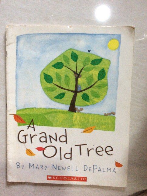 Scholastic A Grand old Tree (Mary Newell Depalma), Hobbies & Toys ...
