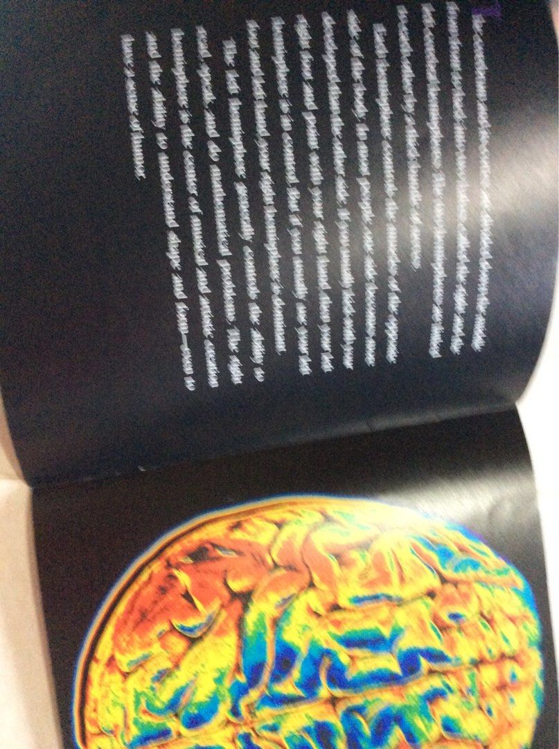 Scholastic The Brain (Seymour Simon), Hobbies & Toys, Books & Magazines ...