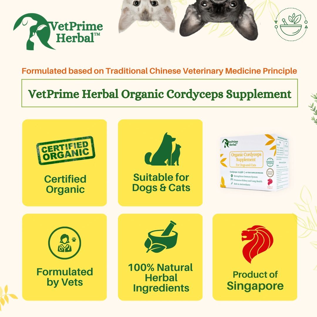 VetPrime Herbal Organic Cordyceps (For dogs & cats of all ages ...