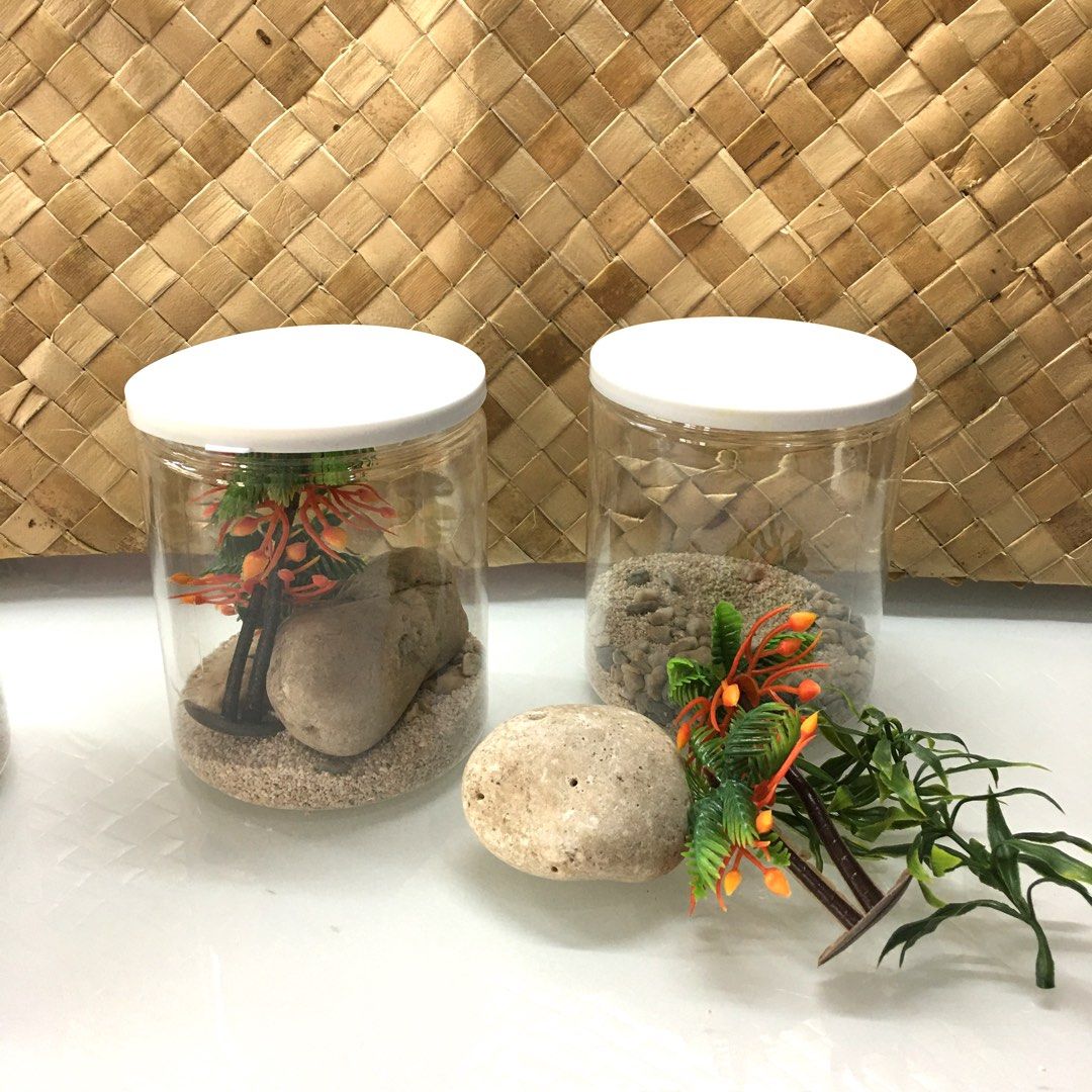Build your own Terrarium Activity for children , Hobbies & Toys ...