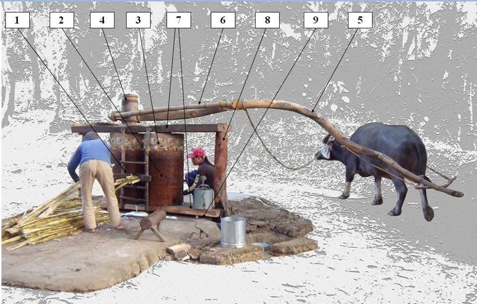 Dadapilan Sugar Cane Mill, TV & Home Appliances, Kitchen Appliances ...