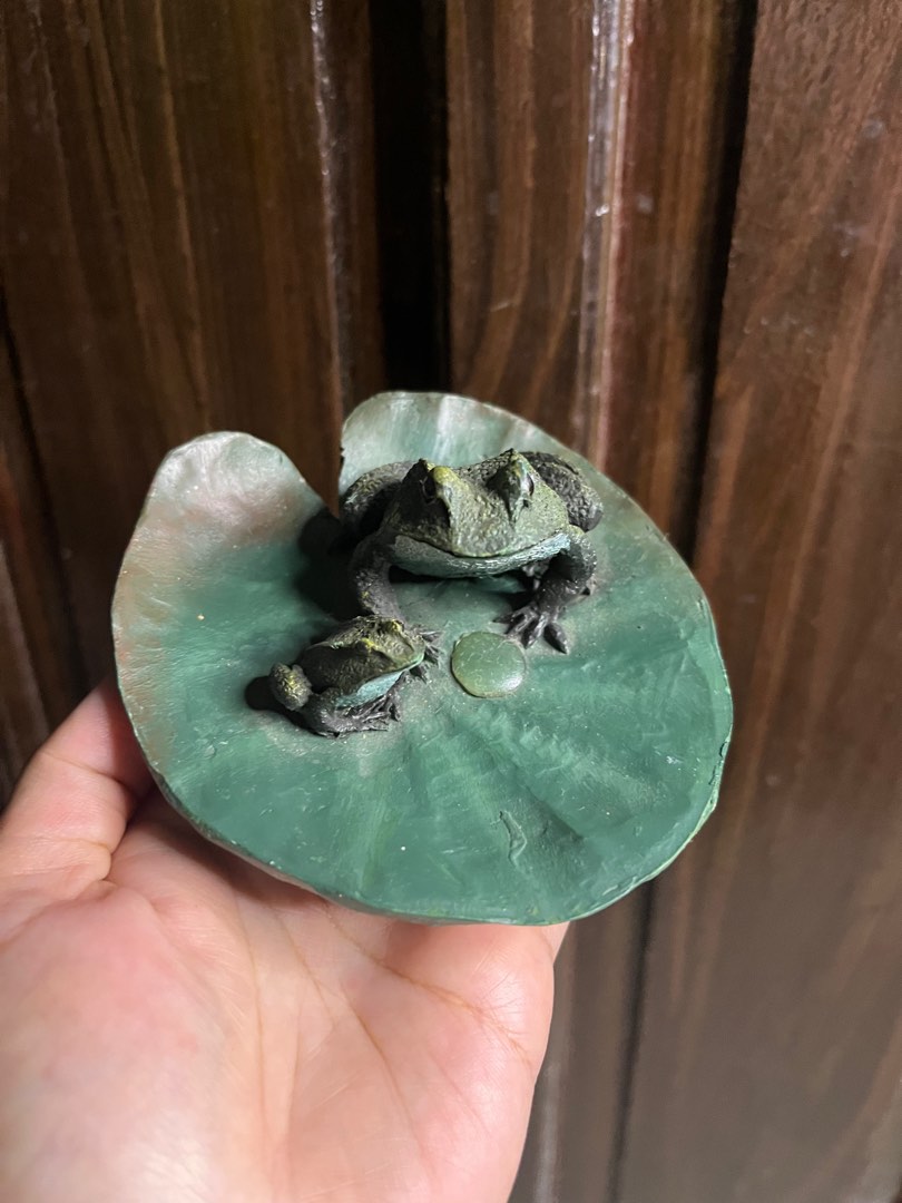 Frog Display from Britain, Furniture & Home Living, Home Decor, Other ...