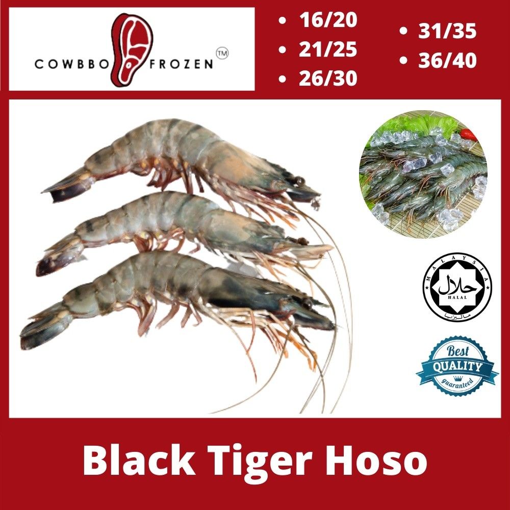 [HALAL] BLACK TIGER PRAWN HOSO ( ONLY DELIVERY KLANG VALLEY AREA ), Food & Drinks, Chilled ...