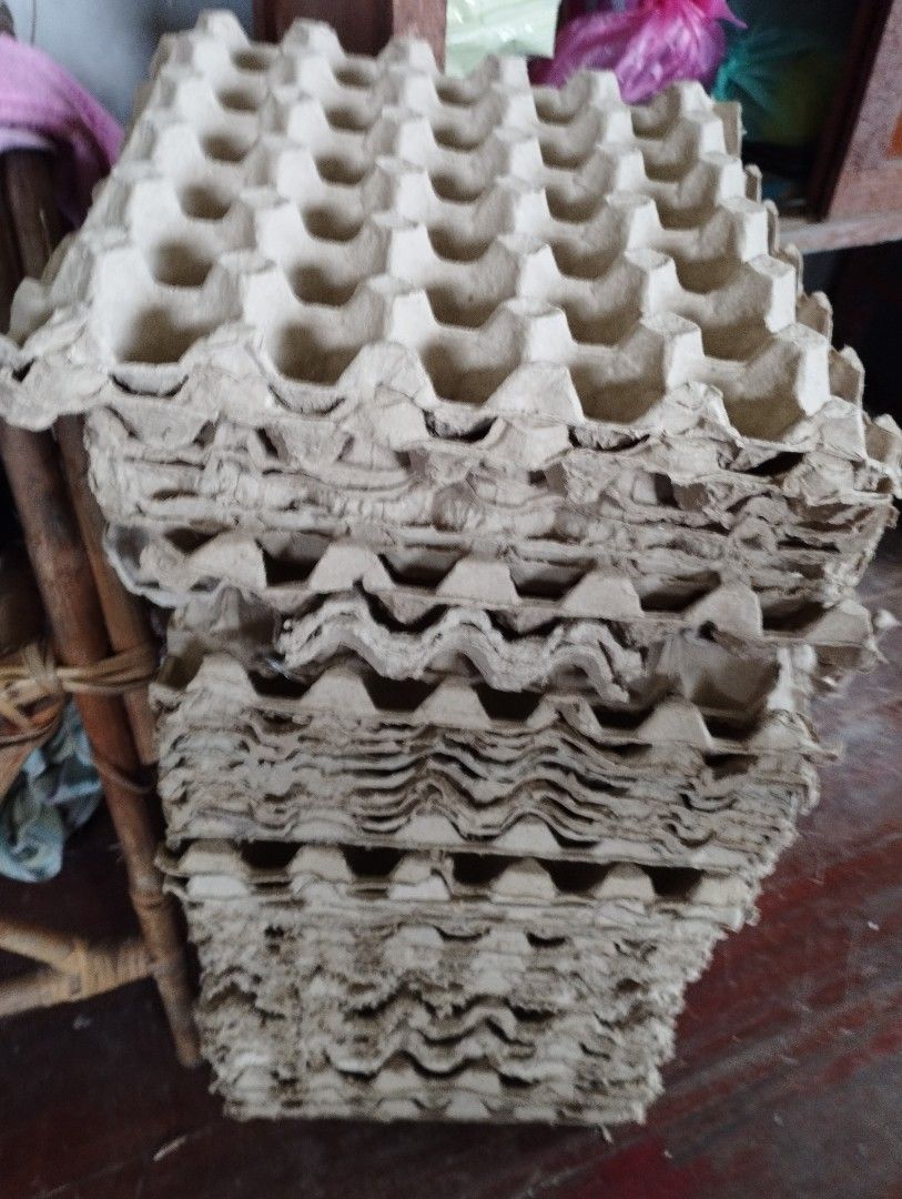 Kotak telur egg tray, Pet Supplies, Homes & Other Pet Accessories on ...