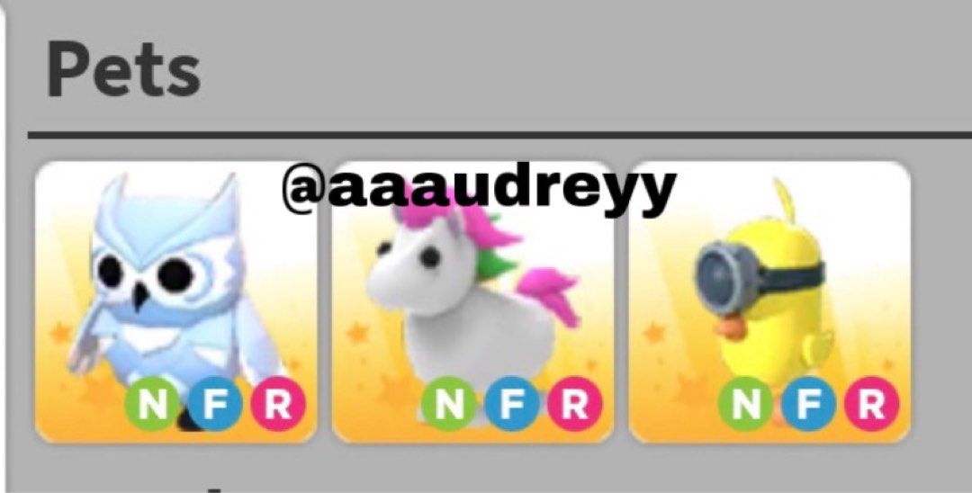 NFR Pets Adopt Me Bundle, Video Gaming, Gaming Accessories, In-Game ...