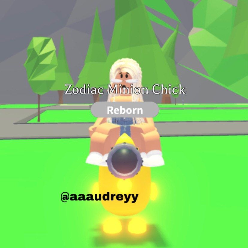 NFR Zodiac Minion Chick - Adopt Me, Video Gaming, Gaming Accessories ...