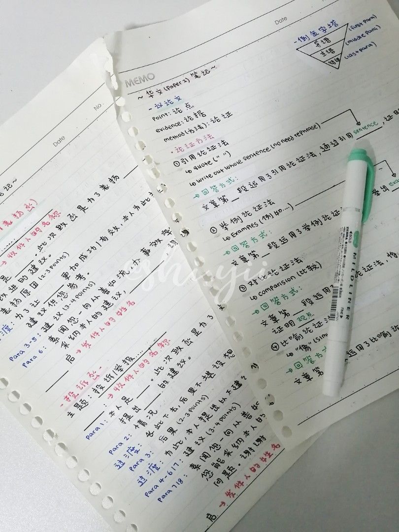 O LEVEL chinese notes paper 1&2, Hobbies & Toys, Books & Magazines ...