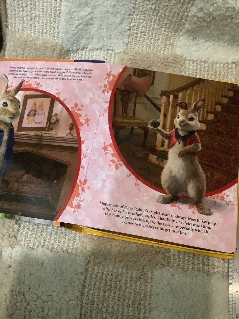 Peter Rabbit Busy Book, Hobbies & Toys, Books & Magazines, Children's ...