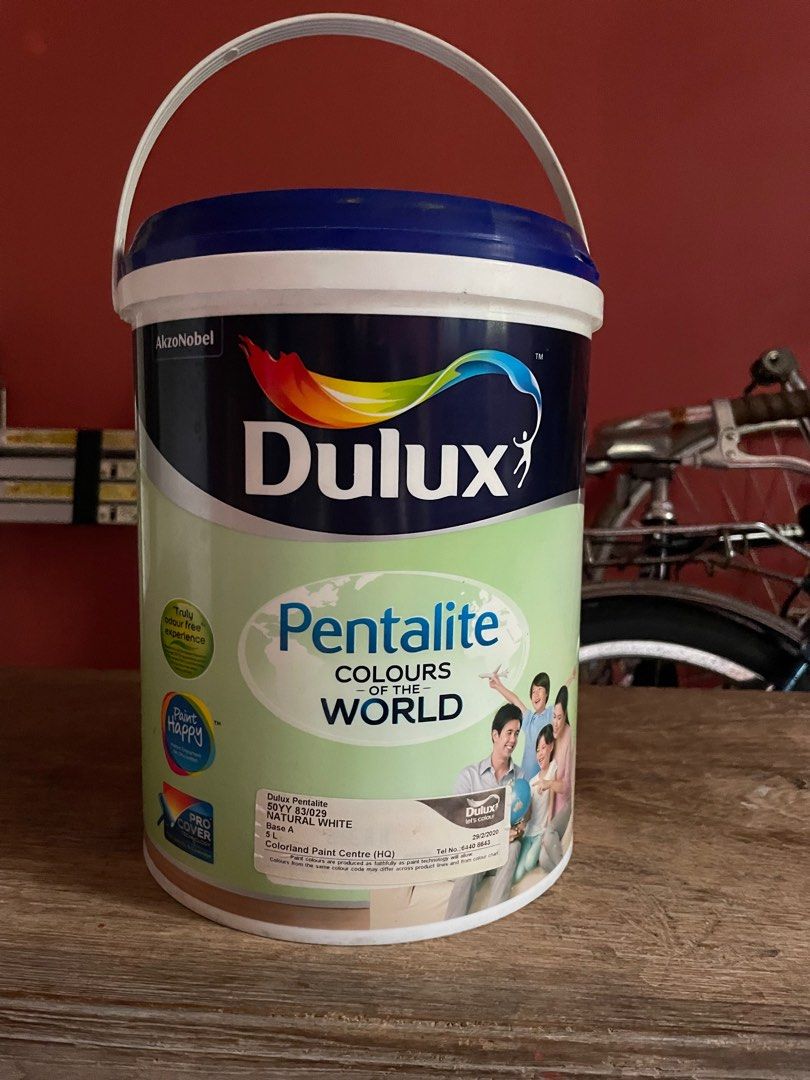 Unopened 5L Dulux Pentalite Natural White, Home Services, Renovations ...
