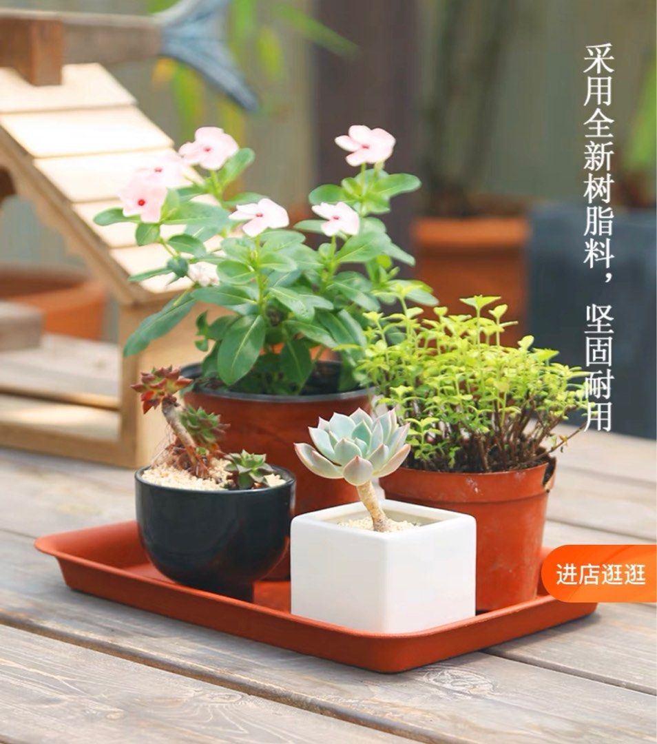 Water Collection Tray for Flower/Plant Pots, Furniture & Home Living ...