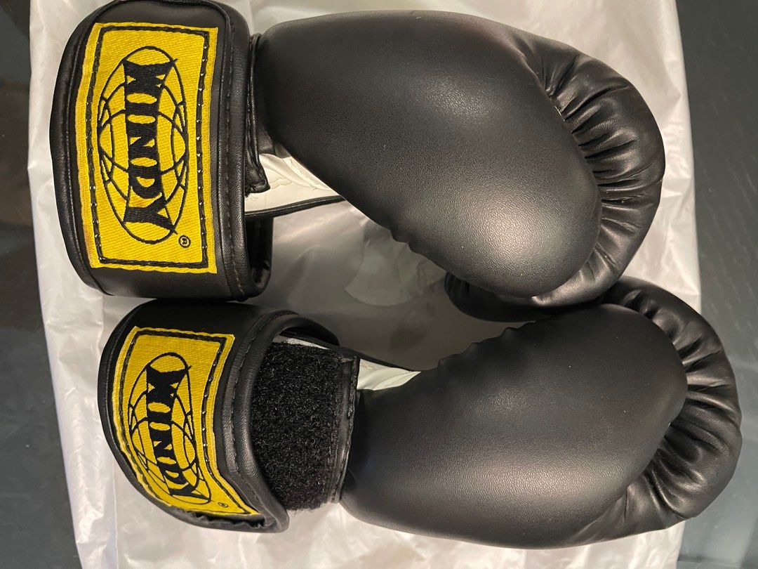 Windy Muay Thai Boxing Gloves for KIDS on Carousell