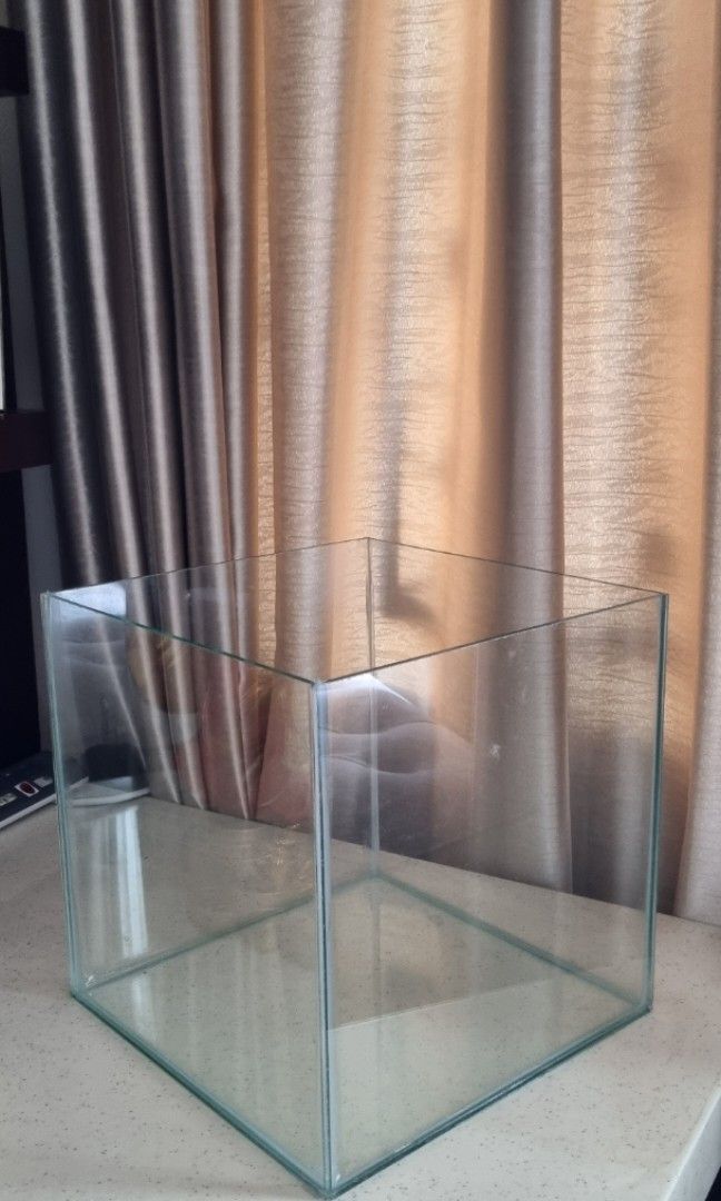 1 feet fish tank, Pet Supplies, Homes & Other Pet Accessories on Carousell