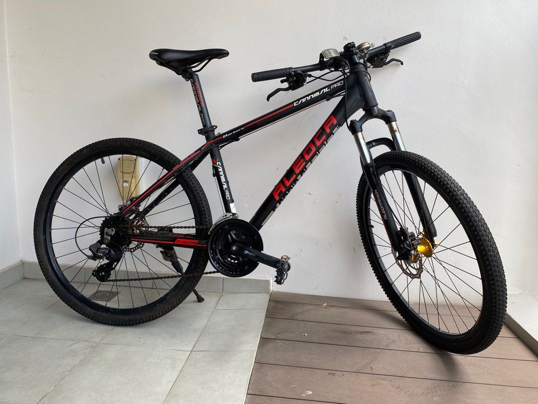 Aleoca Cannibal Pro Mountain bike, Sports Equipment, Bicycles & Parts ...