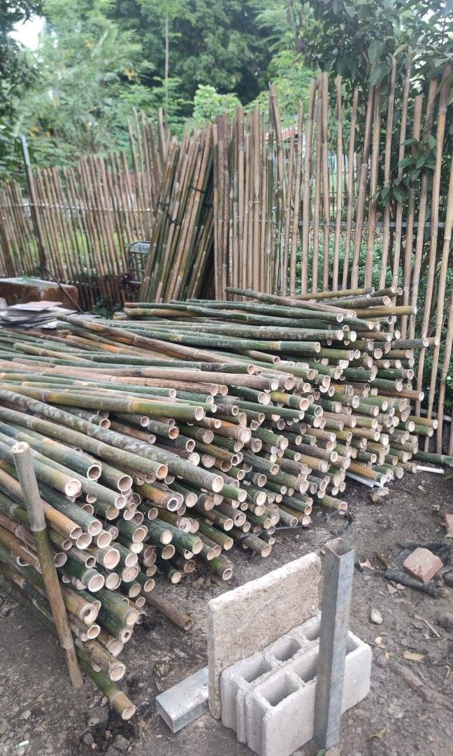 Buho/kawayan, Furniture & Home Living, Gardening, Gardening Tools ...