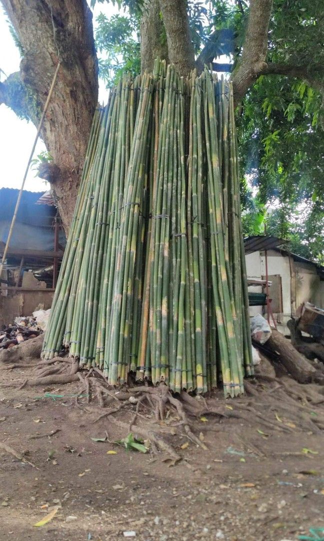 Buho/kawayan, Furniture & Home Living, Gardening, Gardening Tools ...