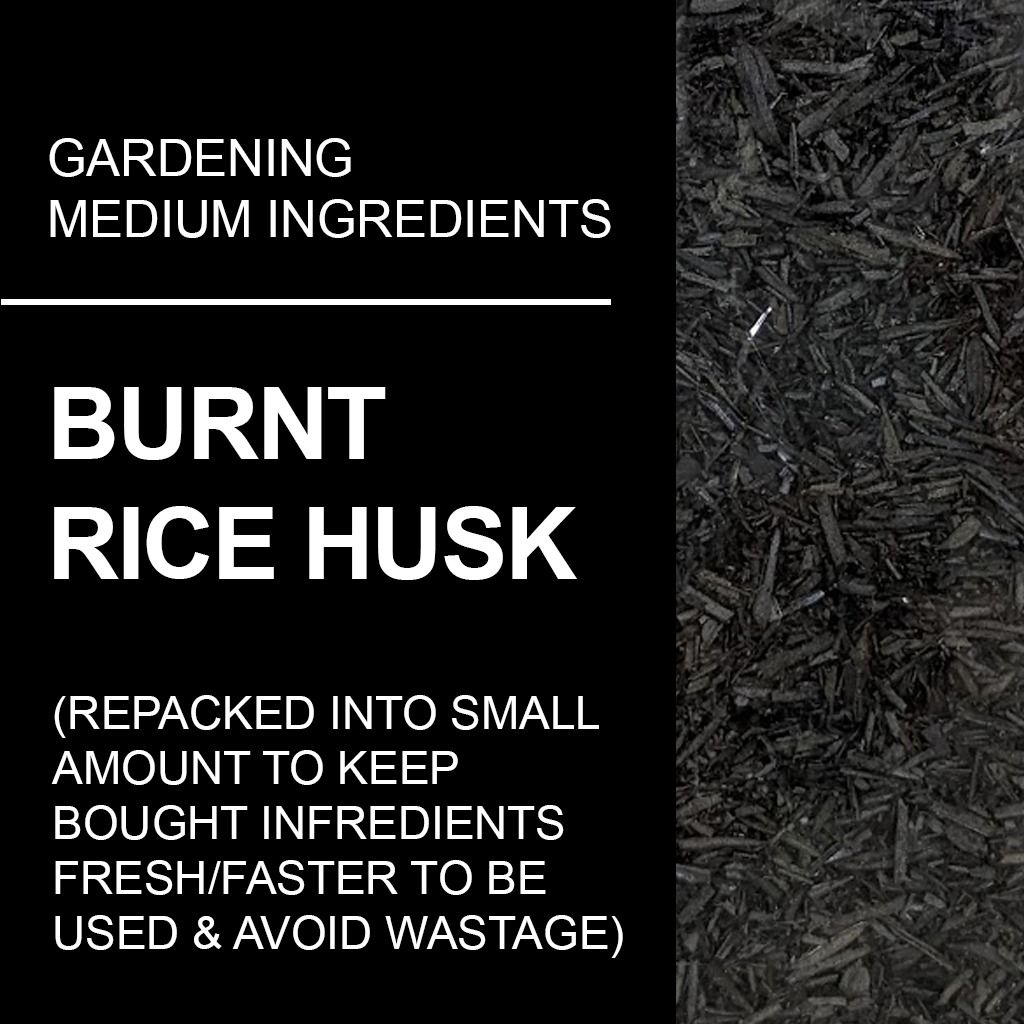 Burnt Rice Husk / Rice Hull, Furniture & Home Living, Gardening, Plants ...