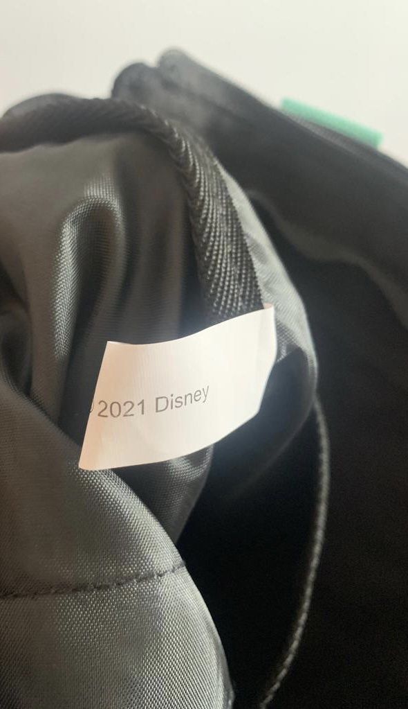 Exclusive & limited edition Raya And The Last Dragon tote bag, Hobbies ...