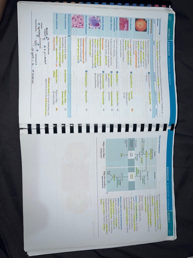 First Aid USMLE Step 1, Hobbies & Toys, Books & Magazines, Textbooks on ...