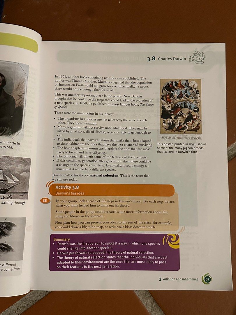 Igcse Year 9 Geography Textbook (Geog.3), Hobbies & Toys, Books ...