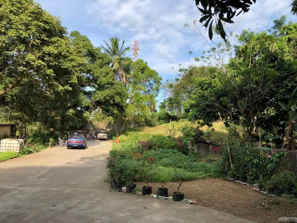 Indang, Cavite Farm Lot for Sale, Property, For Sale, Lot on Carousell
