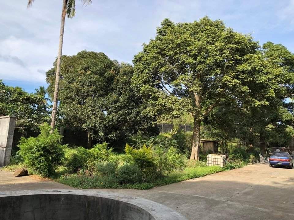 Indang, Cavite Farm Lot for Sale, Property, For Sale, Lot on Carousell