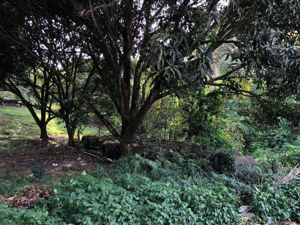 Indang, Cavite Farm Lot for Sale, Property, For Sale, Lot on Carousell