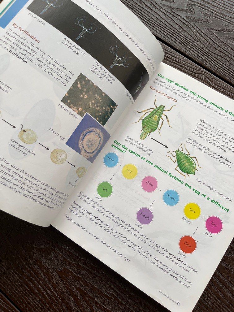 Mini Science Encyclopedia, Hobbies & Toys, Books & Magazines, Children ...