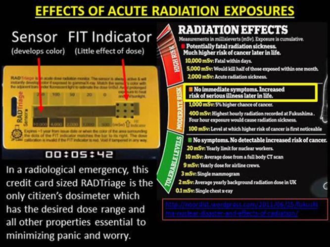 RAD Triage 50 卡片式輻射劑量探測卡, 運動產品, 其他運動配件 - Carousell