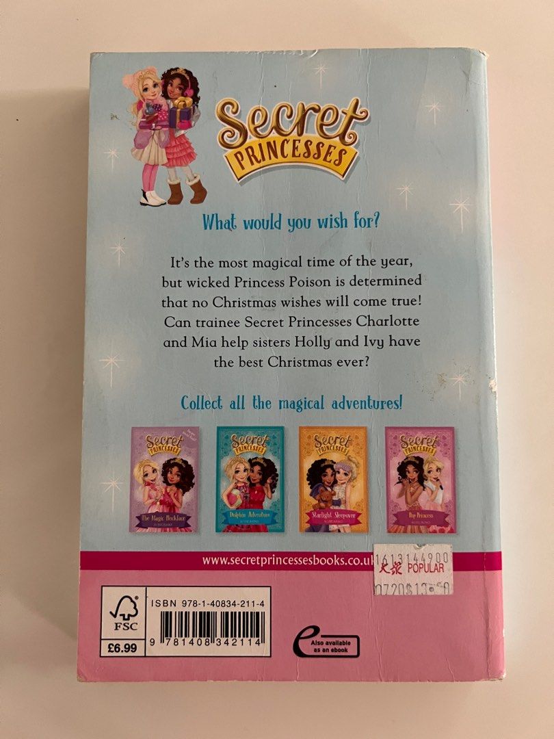 Secret Princesses - Snowflake Sisters by Rosie Banks, Hobbies & Toys ...
