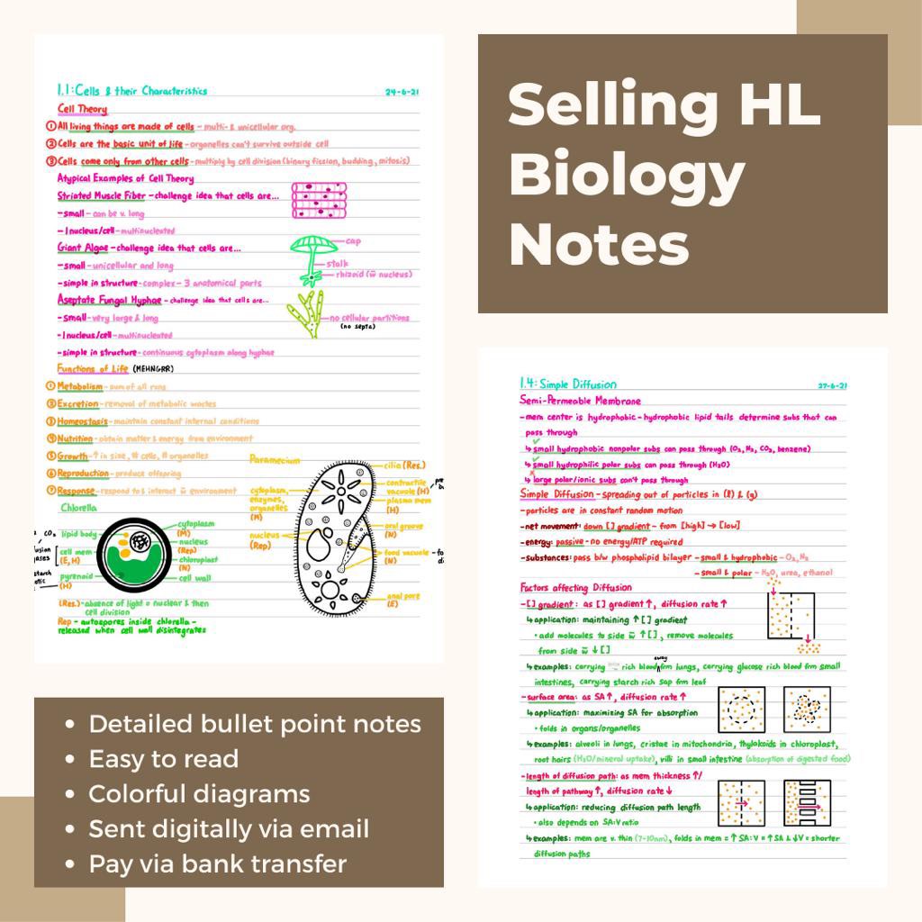VALEDICTORIAN IB Biology SL/HL, Hobbies & Toys, Books & Magazines ...