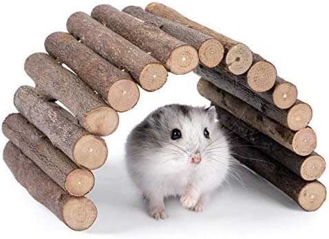 Wooden bendy bridge for small animals | wooden ladder bridge for ...