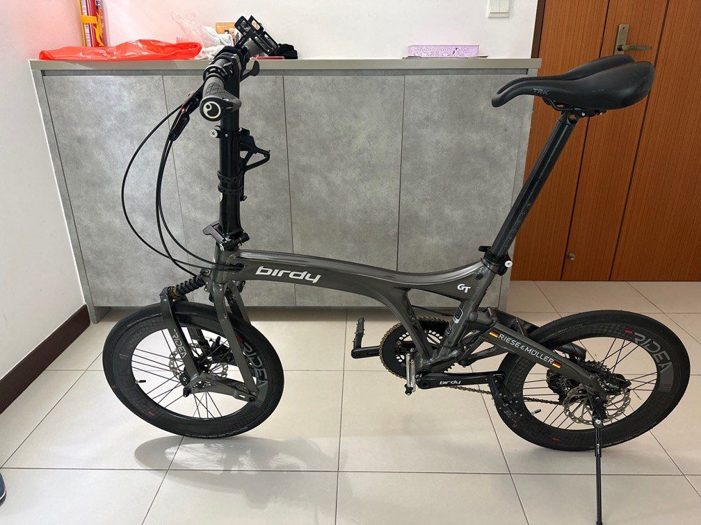 Birdy GT with Ridea Carbon Fibre wheel, Sports Equipment, Bicycles ...