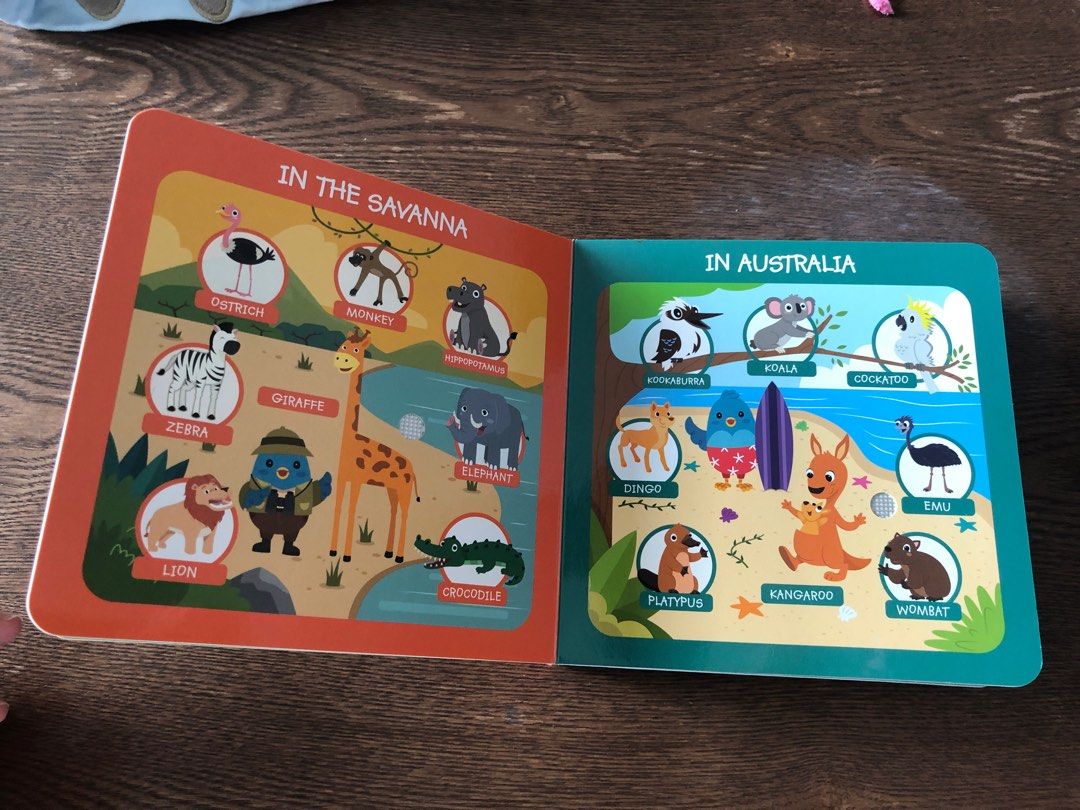 Book with sounds Ditty Bird First 100 Animals, Babies & Kids, Infant ...