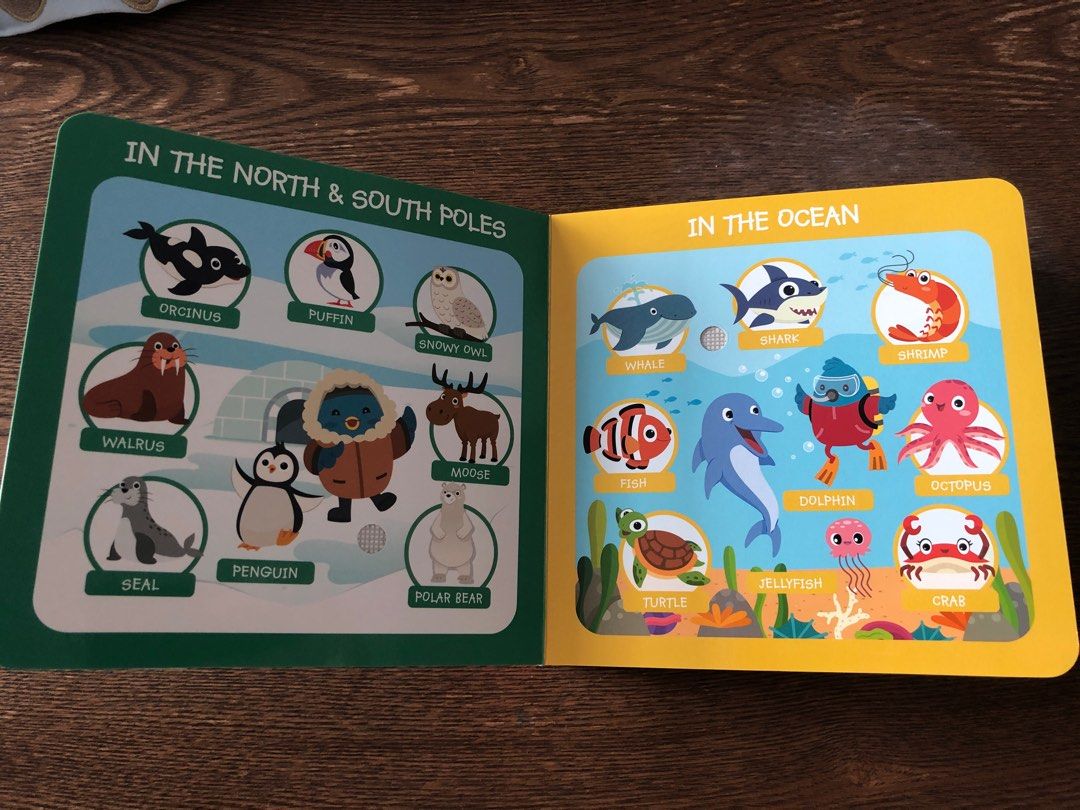 Book with sounds Ditty Bird First 100 Animals, Babies & Kids, Infant ...