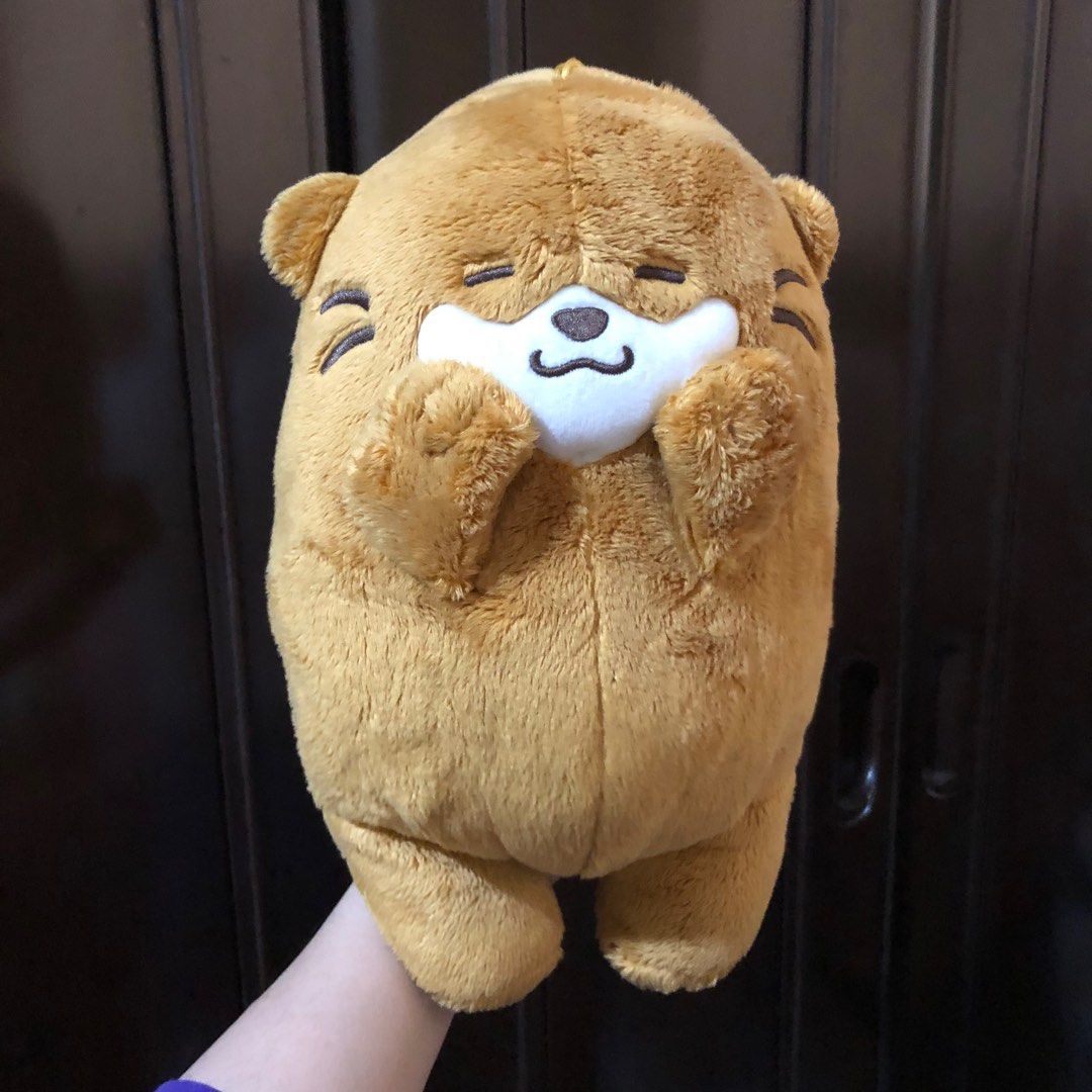 Brand New Bear Cat Blush Plushie Hobbies And Toys Toys And Games On Carousell
