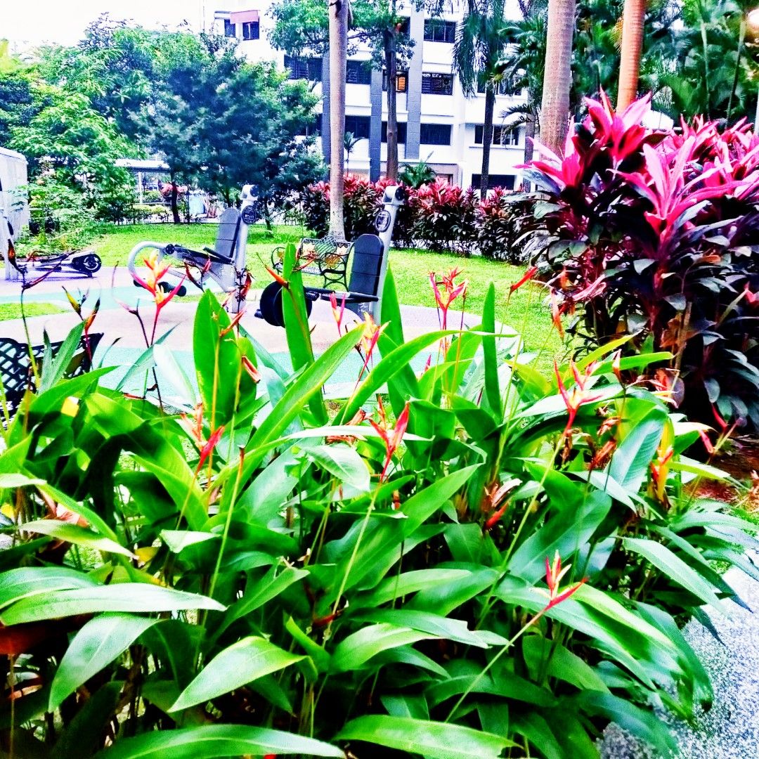 Common Room Near Tanjong Pagar / Outram, Property, Rentals, HDB on ...