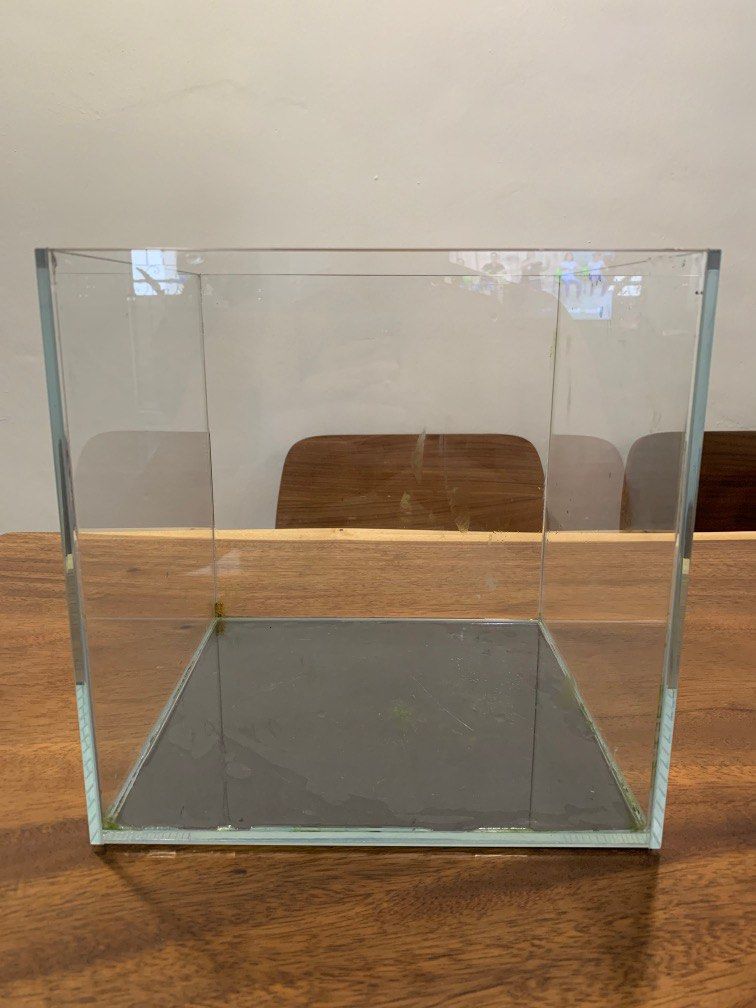 Crystal glass tank 25 cm cube, Pet Supplies, Homes & Other Pet ...