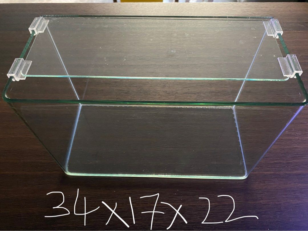 Curved Glass Aquarium Tank, Pet Supplies, Homes & Other Pet Accessories ...