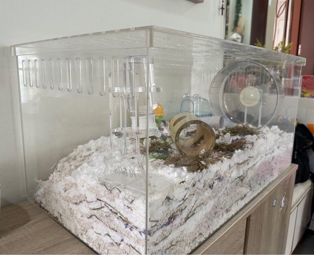 Hamster Acrylic Cage, Pet Supplies, Homes & Other Pet Accessories on ...