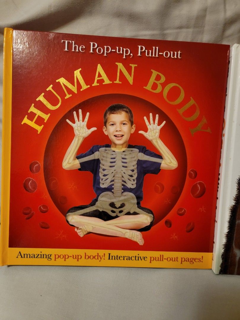 Human Body pop-up &Amazing Giant Wild Animals, 興趣及遊戲, 書本 & 文具, 小朋友書 ...