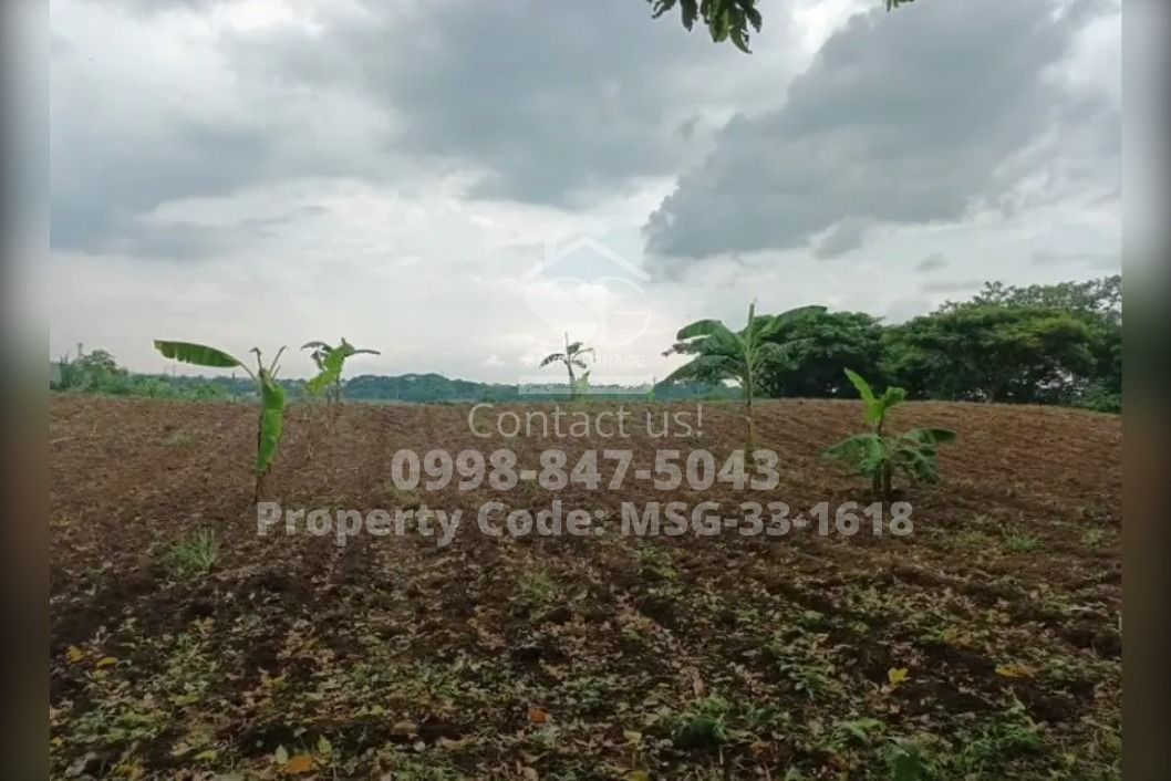 MSG-33-1618 FORECLOSED Residential Lot in Laguna Hills Subdivision ...