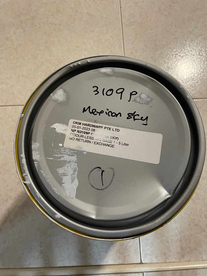 Nippon paint odourless - 5L, Furniture & Home Living, Home Improvement ...