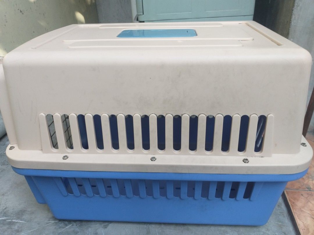 Pet Carrier (Used), Pet Supplies, Homes & Other Pet Accessories on ...